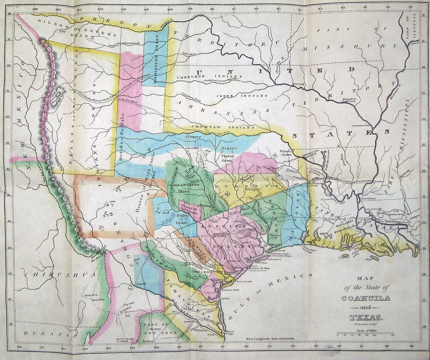 The Irish in Texas