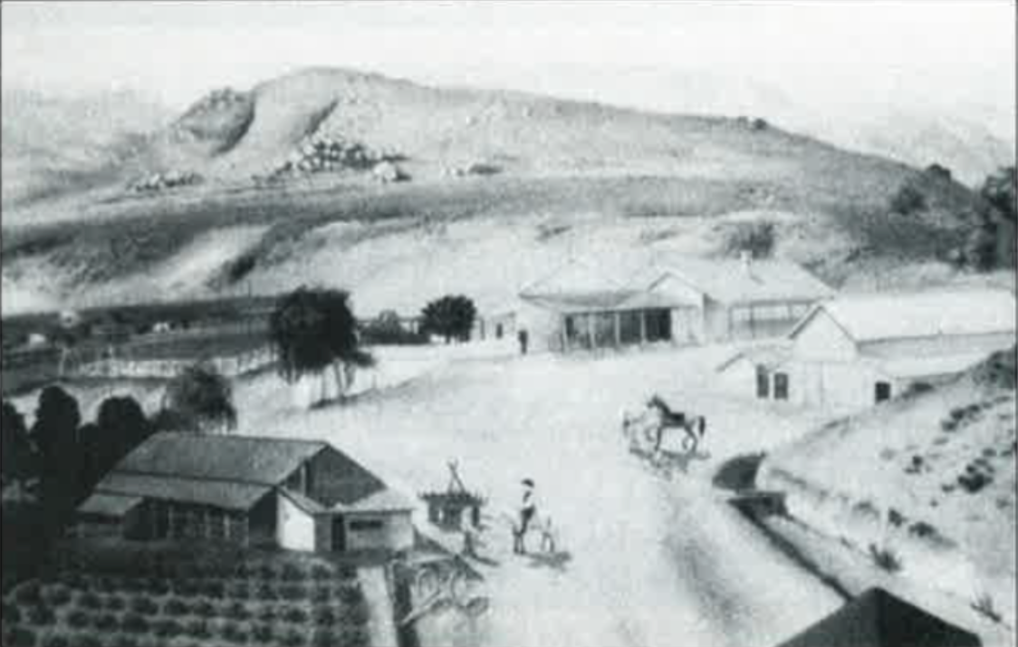 Home on the Range with the O’Neills